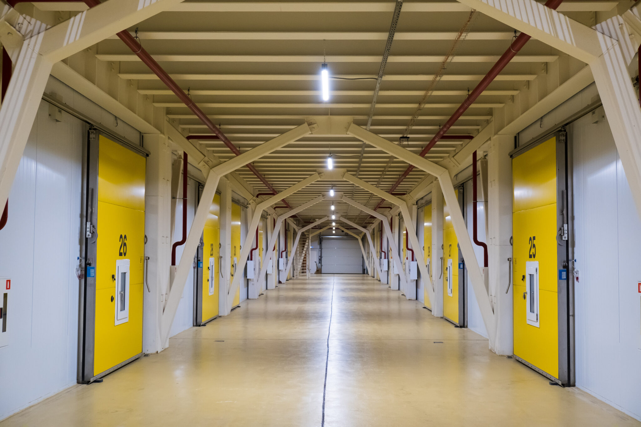 Probation Revocation Texas: How to Fight & Win Your Case - Lorfing Law